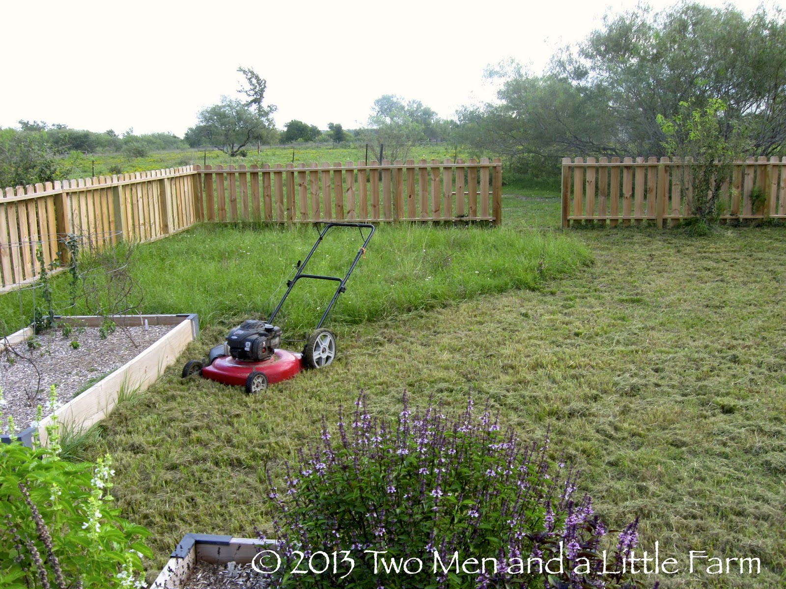 Two Men and a Little Farm: THE GOOD THE BAD AND THE UGLY GARDEN