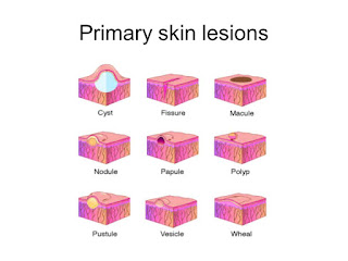 Study Medical Photos: September 2016