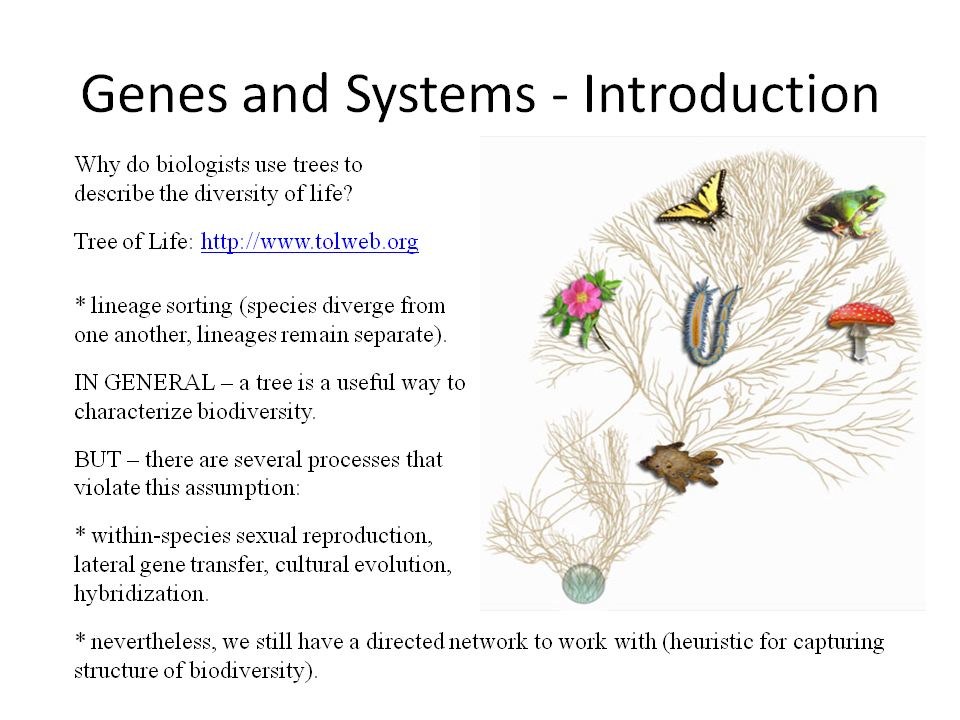 Evolutionary Biology: Evolutionary Biology Major