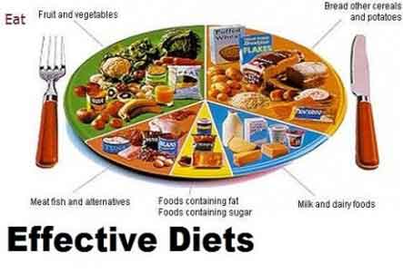 Most Effective Diets ~ Diet Plan & Weight Loss Tips