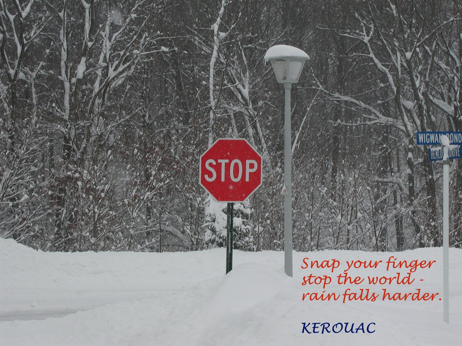 Musica y haikus para la relajacion y la meditacion