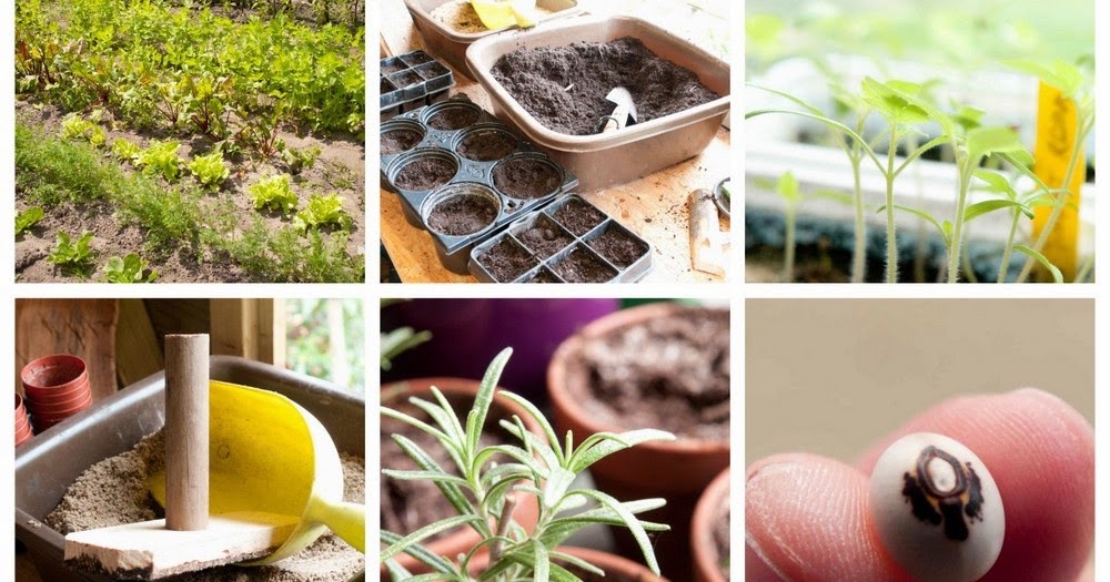 Moestuin Kalender | De Boon in de Tuin