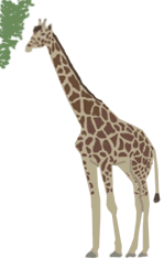 Animation Bundle: Giraffe Animated Pictures and Giraffe Gifs 20 ...
