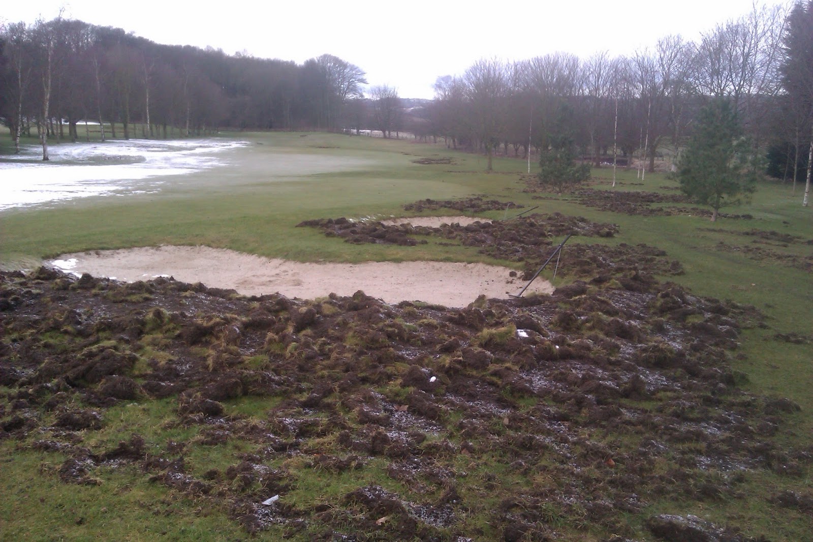 Malton and Norton Golf Club Greens Department: Fantastic week at the ...