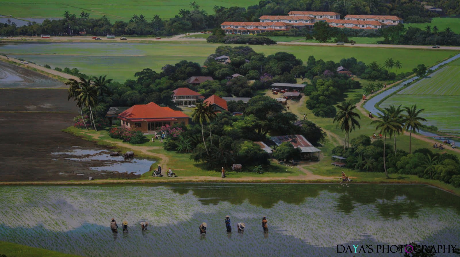 * Daya'S PhotOgrapHy *: Muzium Padi, Kedah