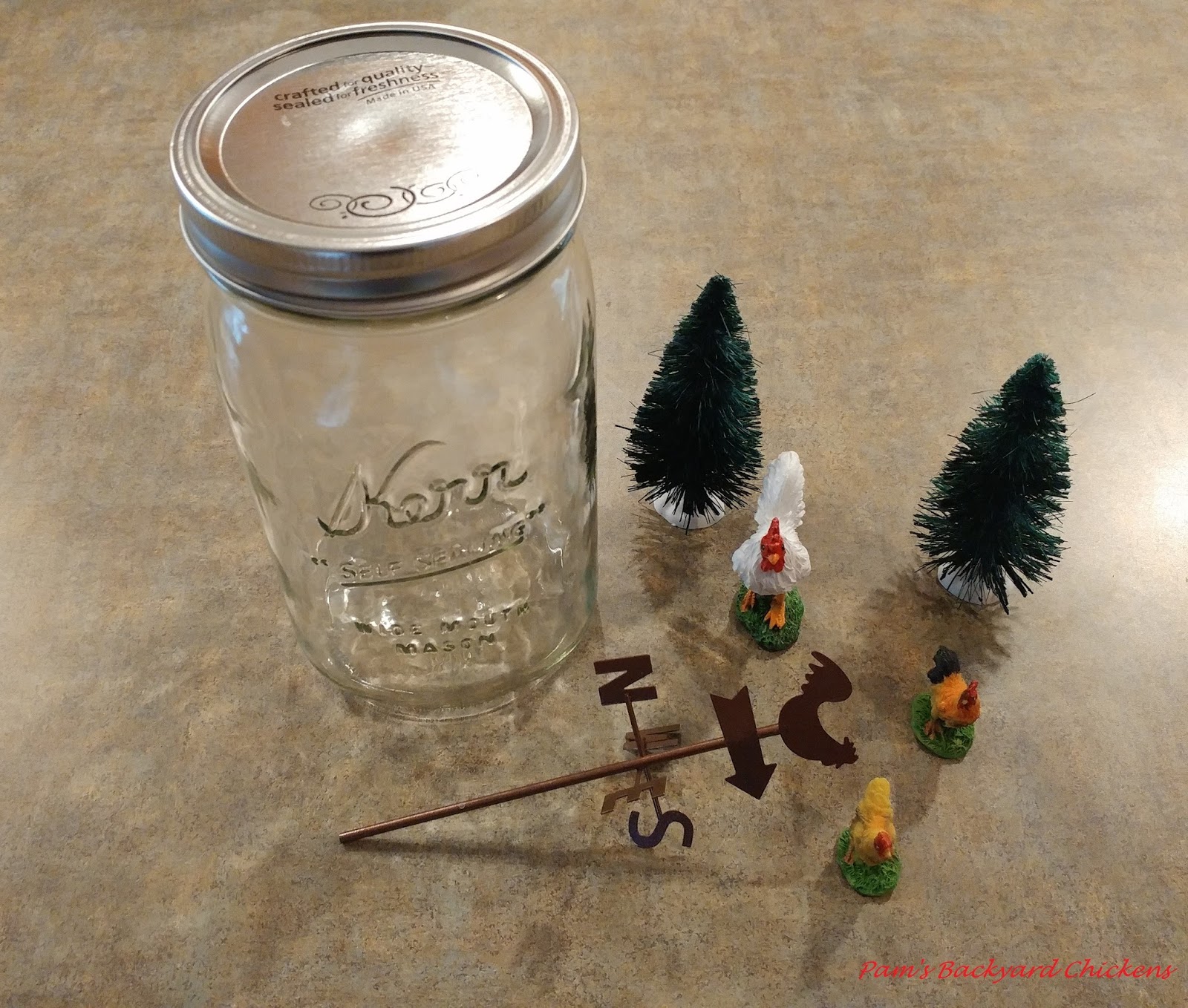 Pam s Backyard Chickens How To Make A Homemade Snow Globe pam-s-backyard-chickens-how-to-make-a-homemade-snow-globe