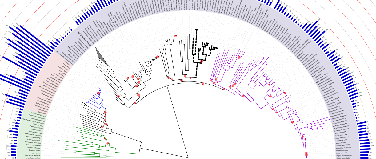Desafiando a Nomenklatura Científica: iTOL, a Árvore da Vida interativa