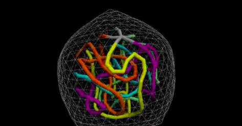 7th Grade Science - 2017-2018: Cell Simulations Upload