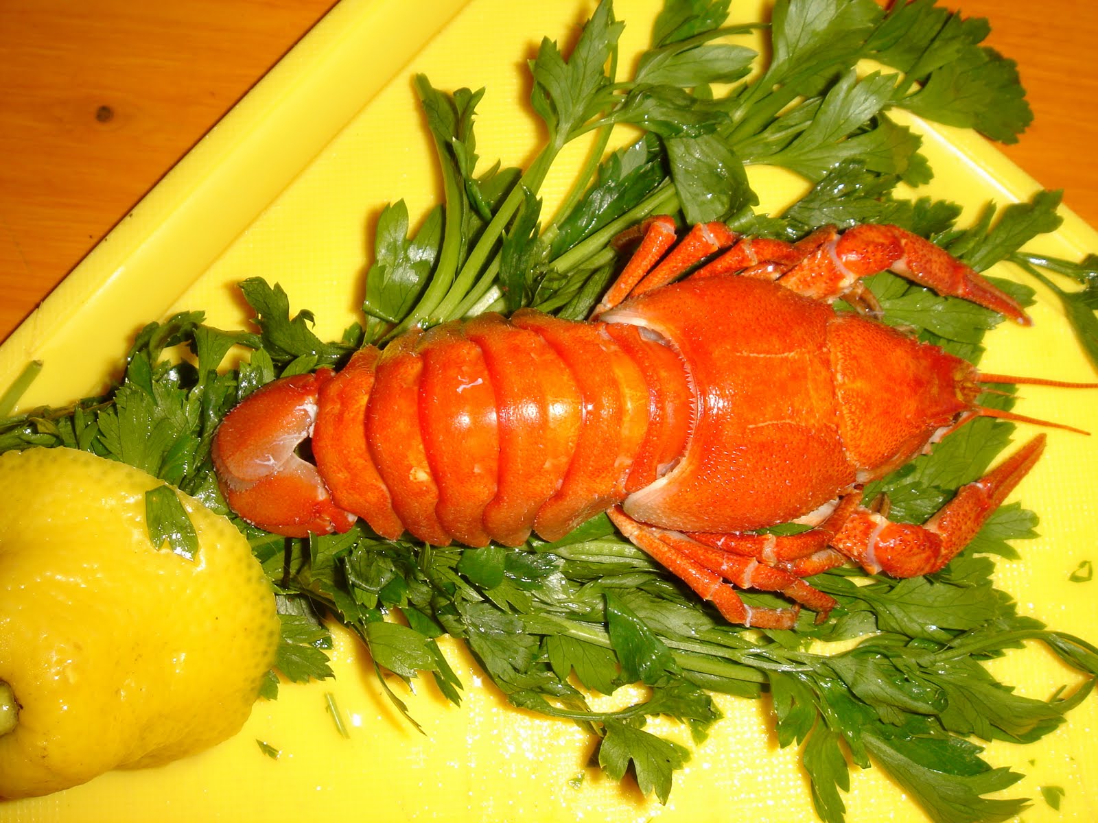 habarnicus: Scordolea de raci