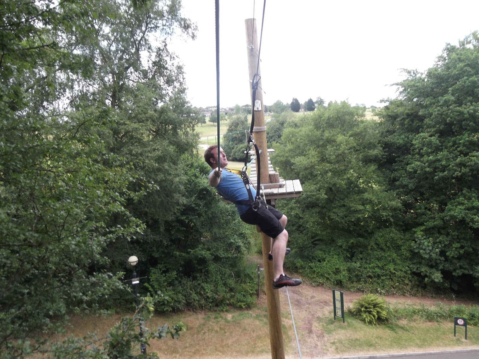Life with Chickenruby: Walking in the tree tops at Celtic Manor, Newport