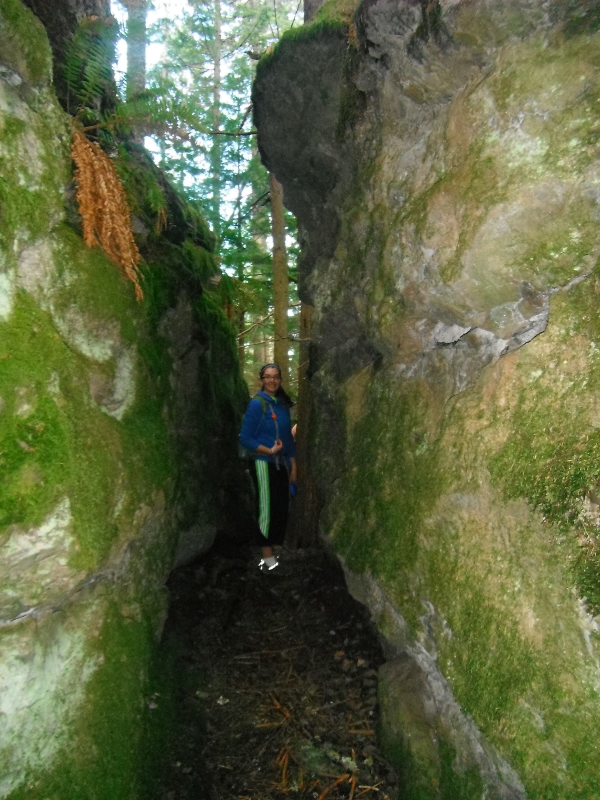 YOH!: Talus Rocks Hike at Tiger Mountain