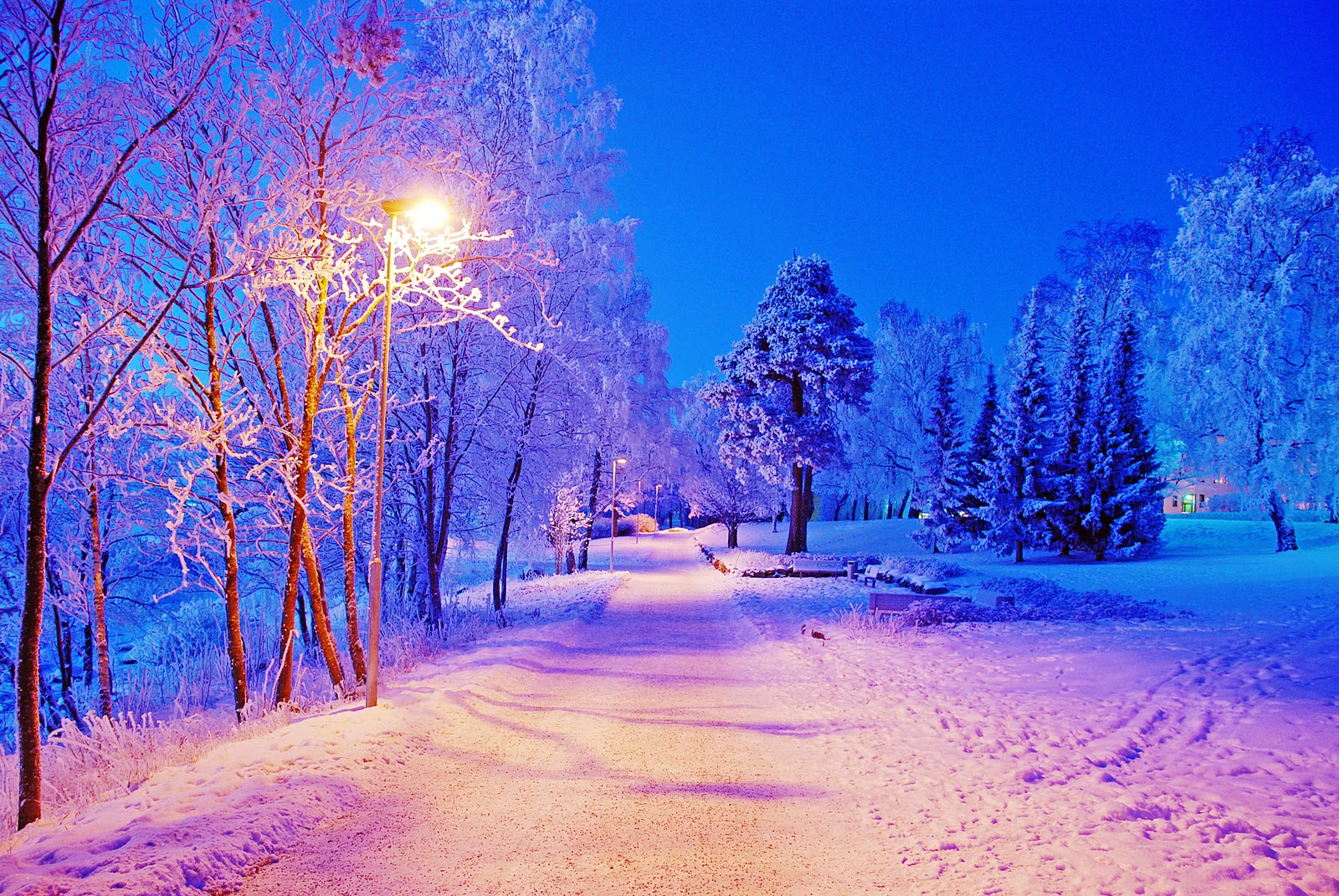 En fräknig flickas foton & funderingar: Vinterbilder