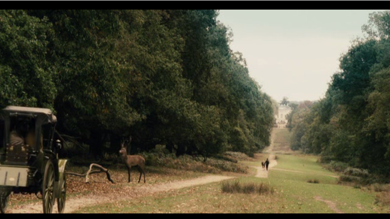 Extreme Long Shot Example