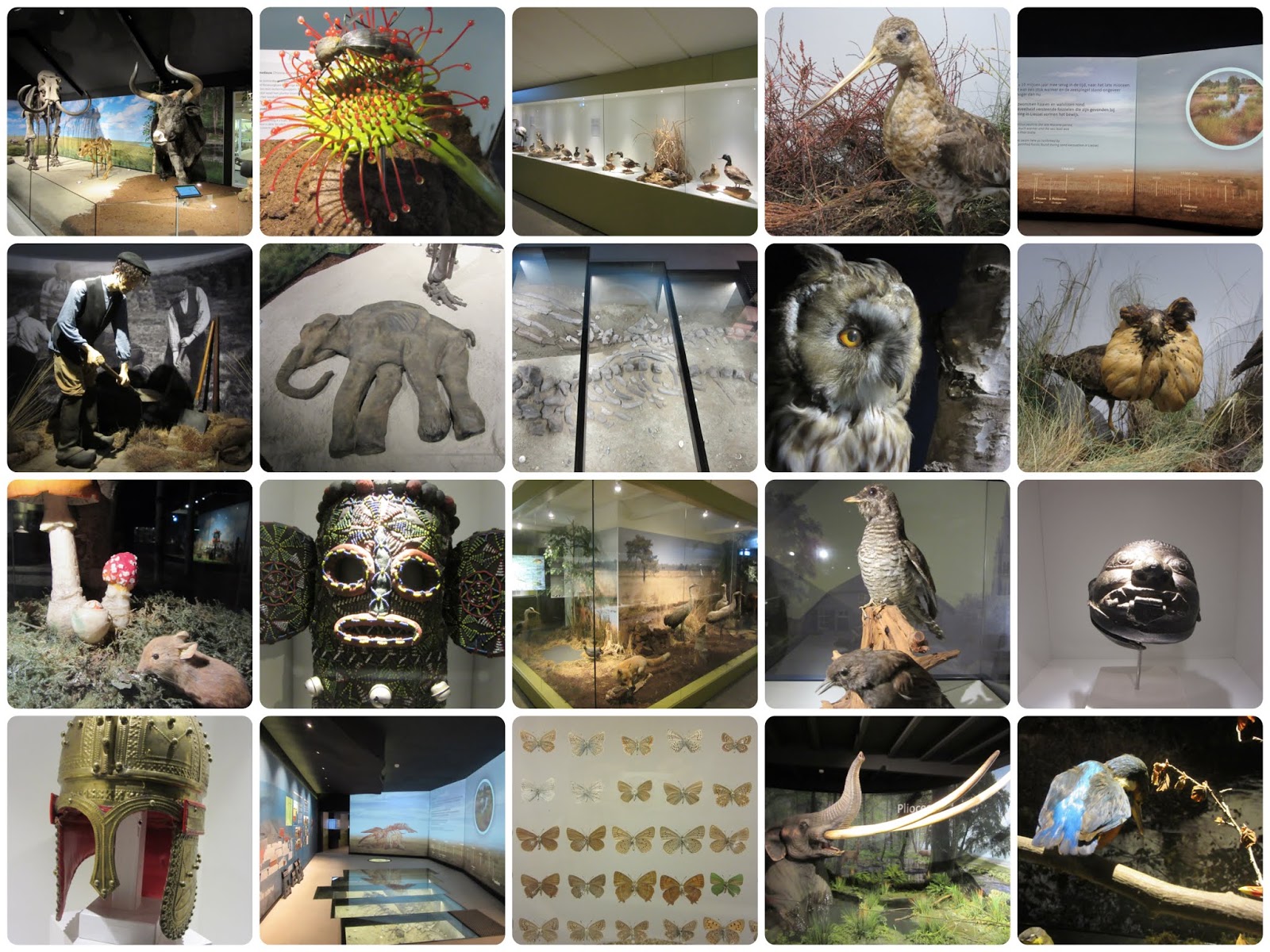 Helmond (en omgeving) in Beeld: Klok & Peel museum Asten