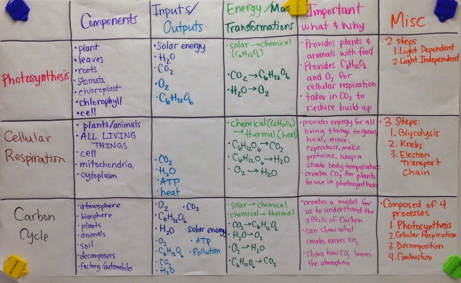 Mrs. Paul - Biology: 10th Grade BIology Notes - Charts 2014-2015