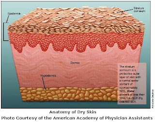 Effective Tips for Caring for Dry Skin - Skin Care Line INDIA