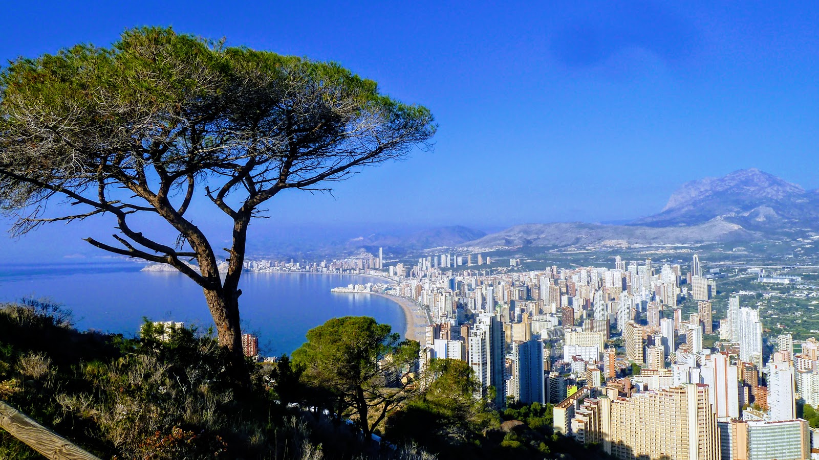 SIERRA HELADA DESDE LA CRUZ DE BENIDORM - Las Rutas de Moskys