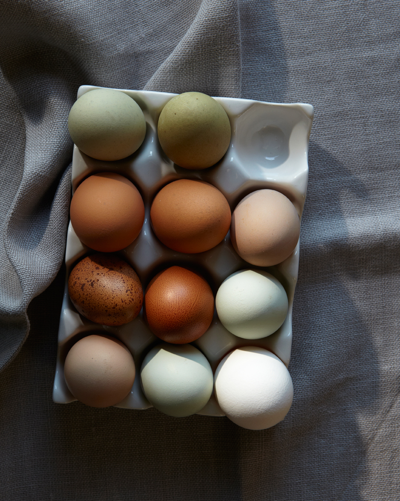 ELEPHANTITIS: BONERVILLE PHOTO FINDS