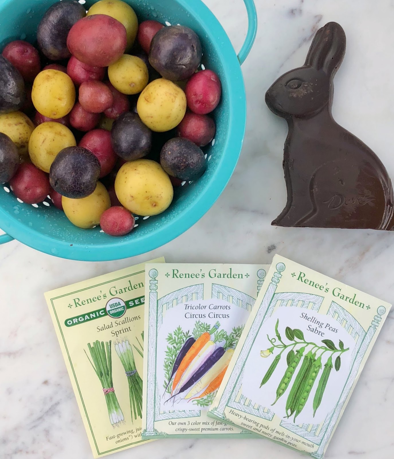 Jac o' lyn Murphy: 5+ Festive ways to use Chocolate Rabbits for Easter