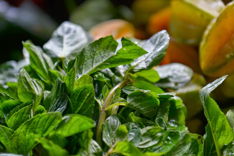 somosxinkas.com: LAS HIERVAS DE LOS PUEBLOS