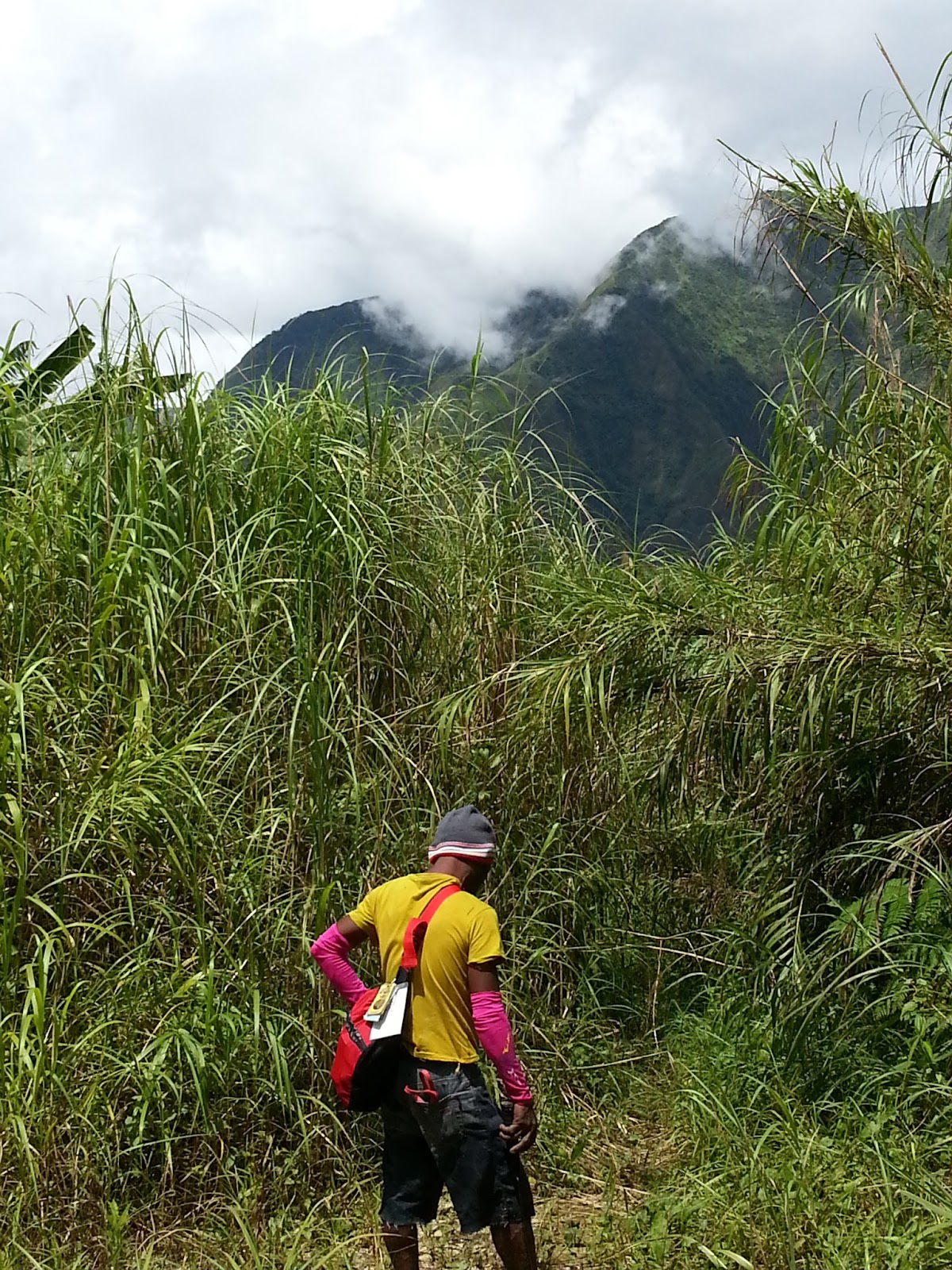 ultrarunning and beyond ...: Musing of the RD - TRAIL WORK