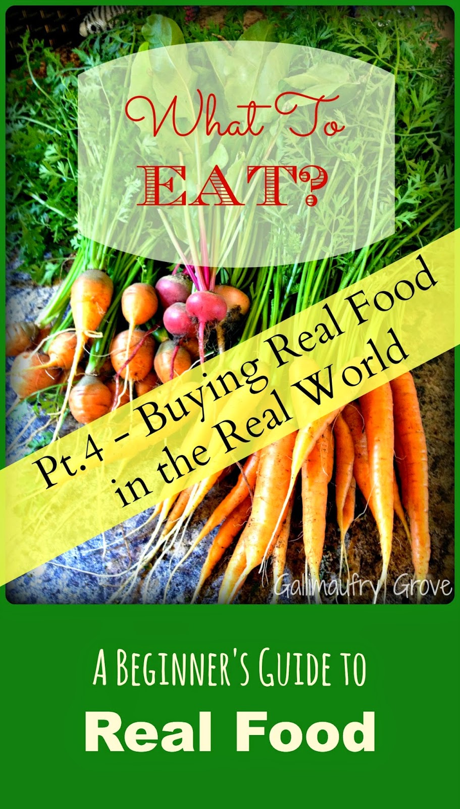 Pt. 1 - Introduction