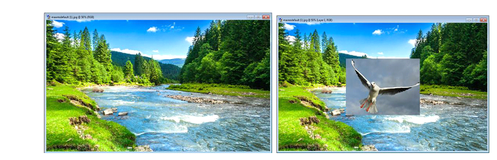 Explain various options for editing an image? | Computers Professor