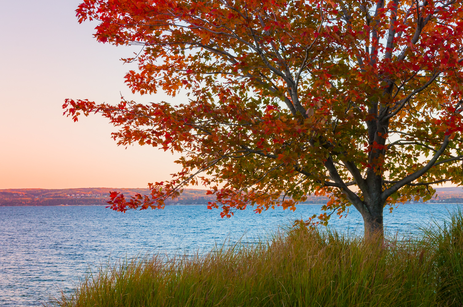 Steve Q Photo: Michigan Fall Color 2010 Day 1 & Day 2 Petoskey ...