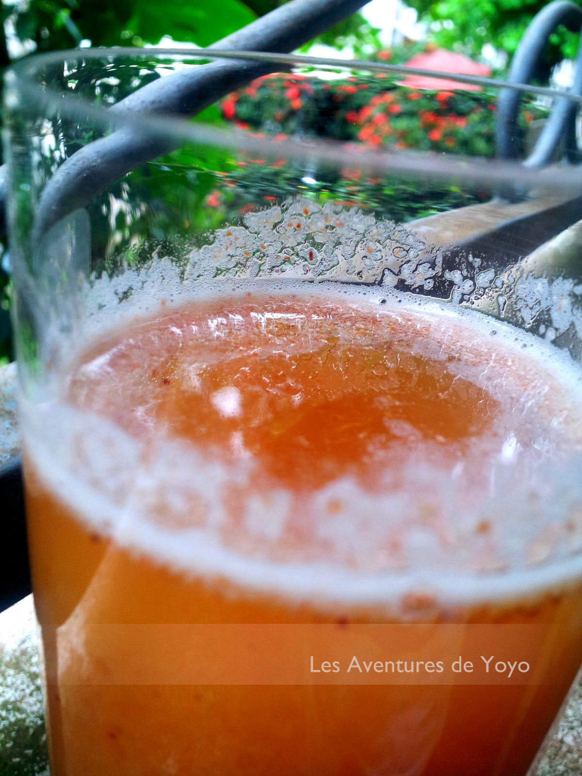 Recette du pays: jus de baobab ~ Yoyo La Jolie