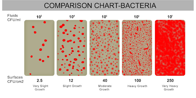 เปรมศักดิ์กมล อินเตอร์เทรด: ชุดตรวจสอบแบคทีเรียเคลื่อนที่ (BF-INDICATOR)