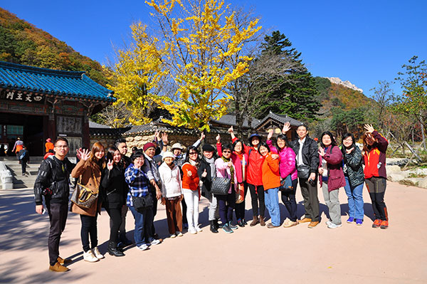 KC & the Sunshine Runners: Korea Holidays Highlights
