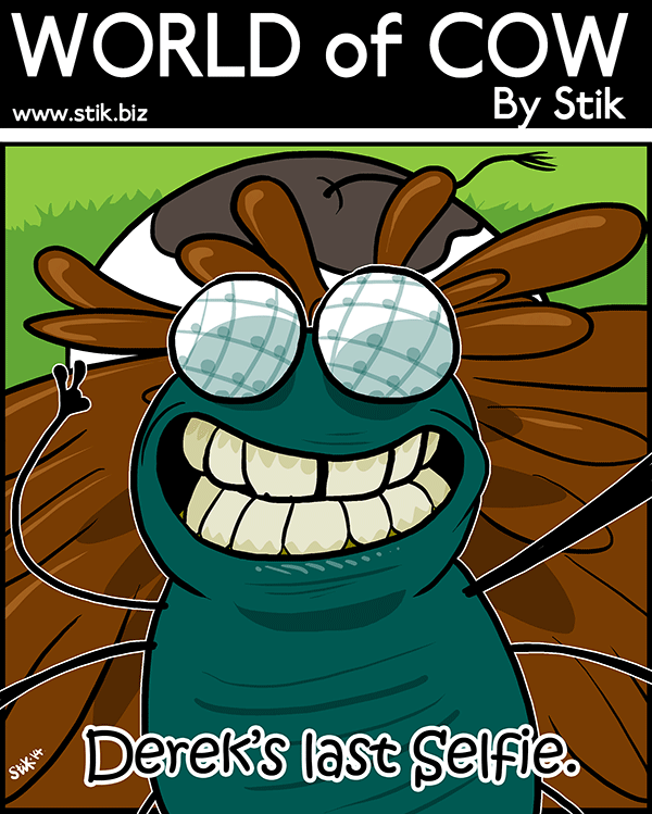 The Cartoonist known as StiK: Woc cartoon for today