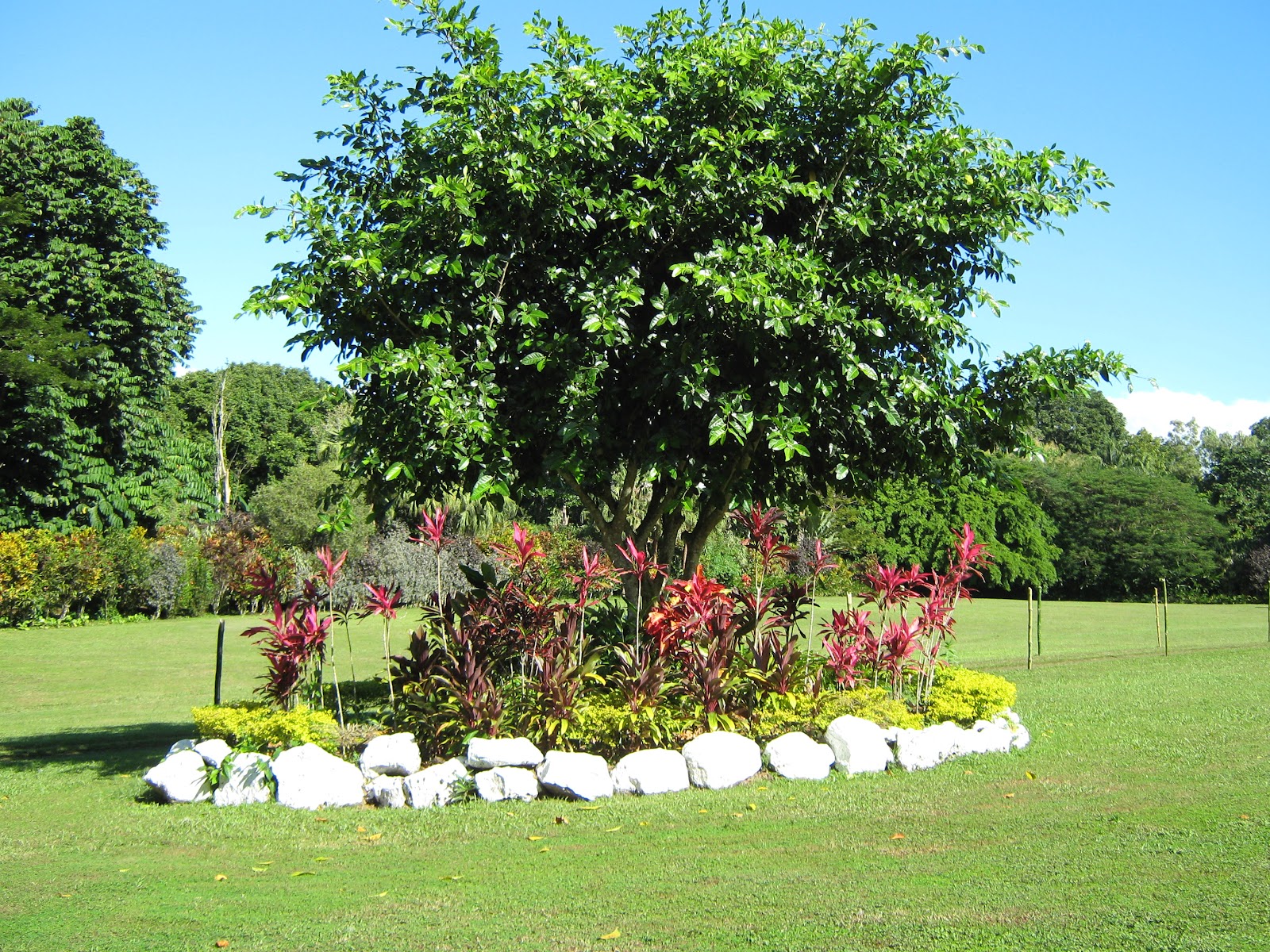 Glennis's Blog page ........................ Welcome.: Robert Louis ...