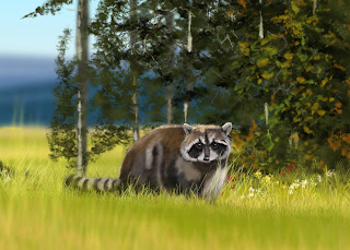 Zoo Park: Run Your Own Animal Sanctuary: The Raccoon