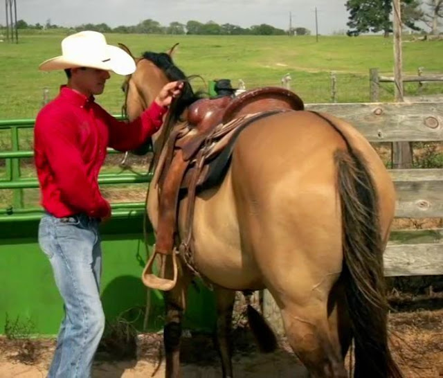 Great Looking Guys: Cowboy Friends