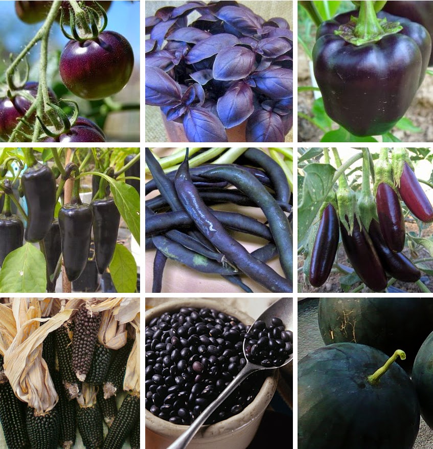 Rare and Exotic Seeds