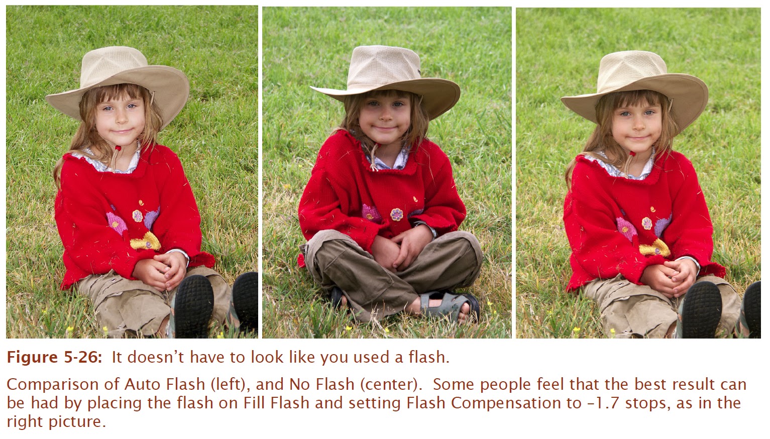 The Friedman Archives Blog: Untangling Fill-Flash