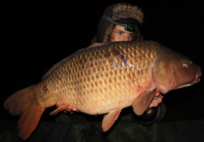 Charlton Carper: Braxted Front Lake 'The Process'