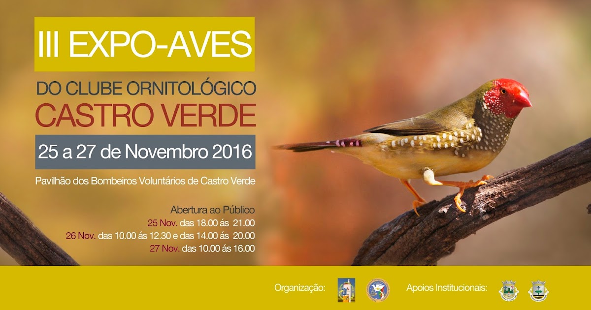 Clube Ornitologico de Castro Verde: III EXPO-AVES DO COCV