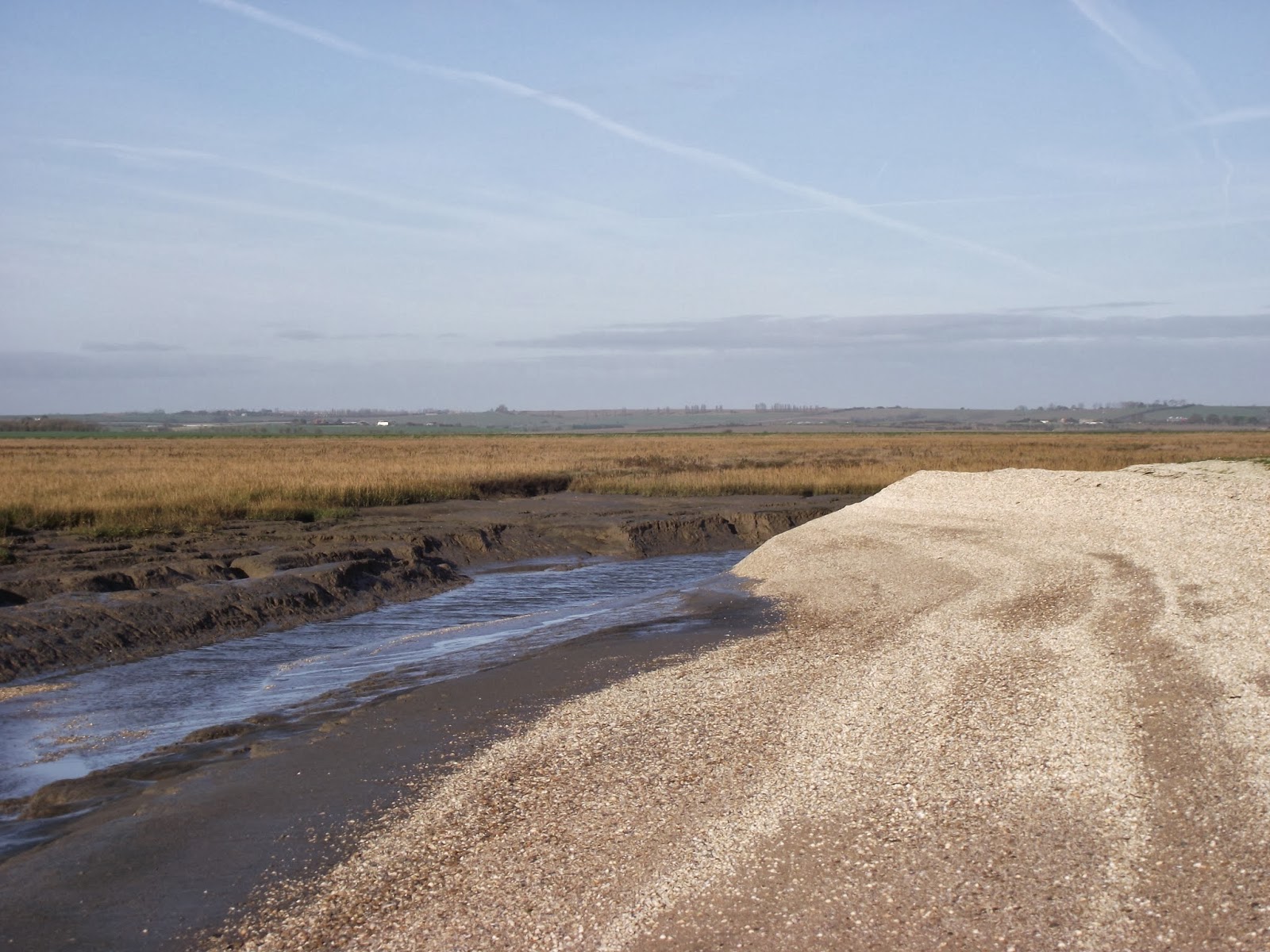 LETTERS FROM SHEPPEY: Shellness Morning