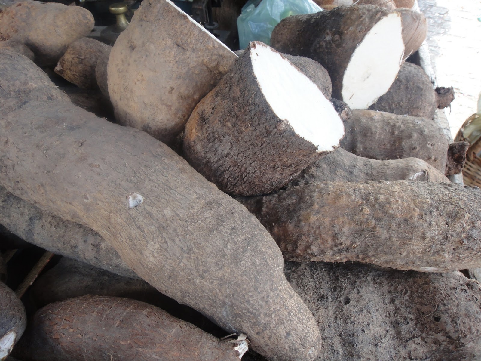 come-se: Inhame-do-norte. Cará. Resposta à charada do post anterior