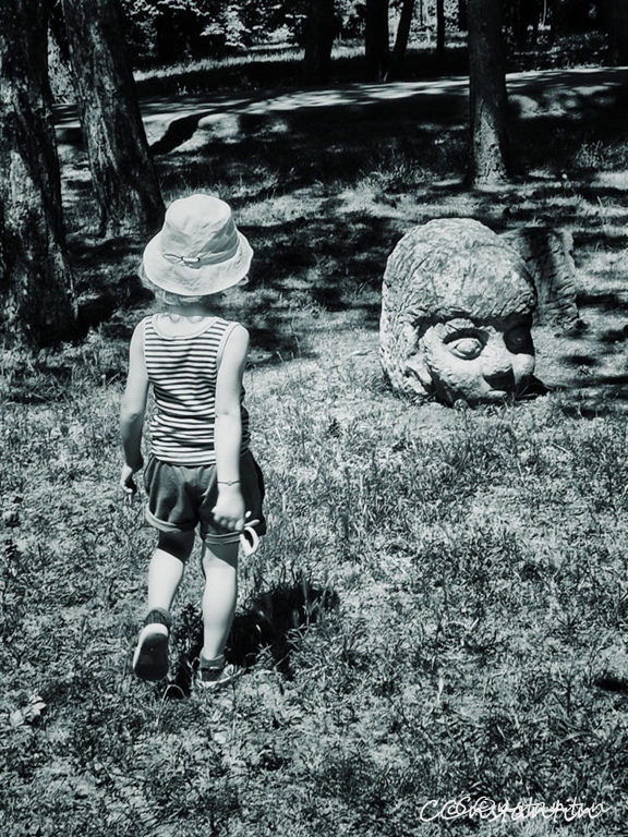 FOTO-IDEEA: Principii negru pe alb