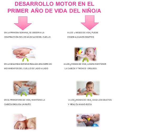 Áreas del desarrollo integral del niño