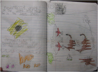 Sweet Teach: Science Notebooking: Animal Adaptations