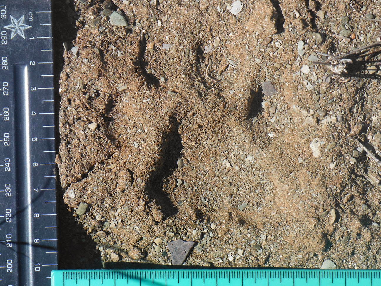 Neuras: N/a'an ku se Wine and Wildlife Estate: April 2014