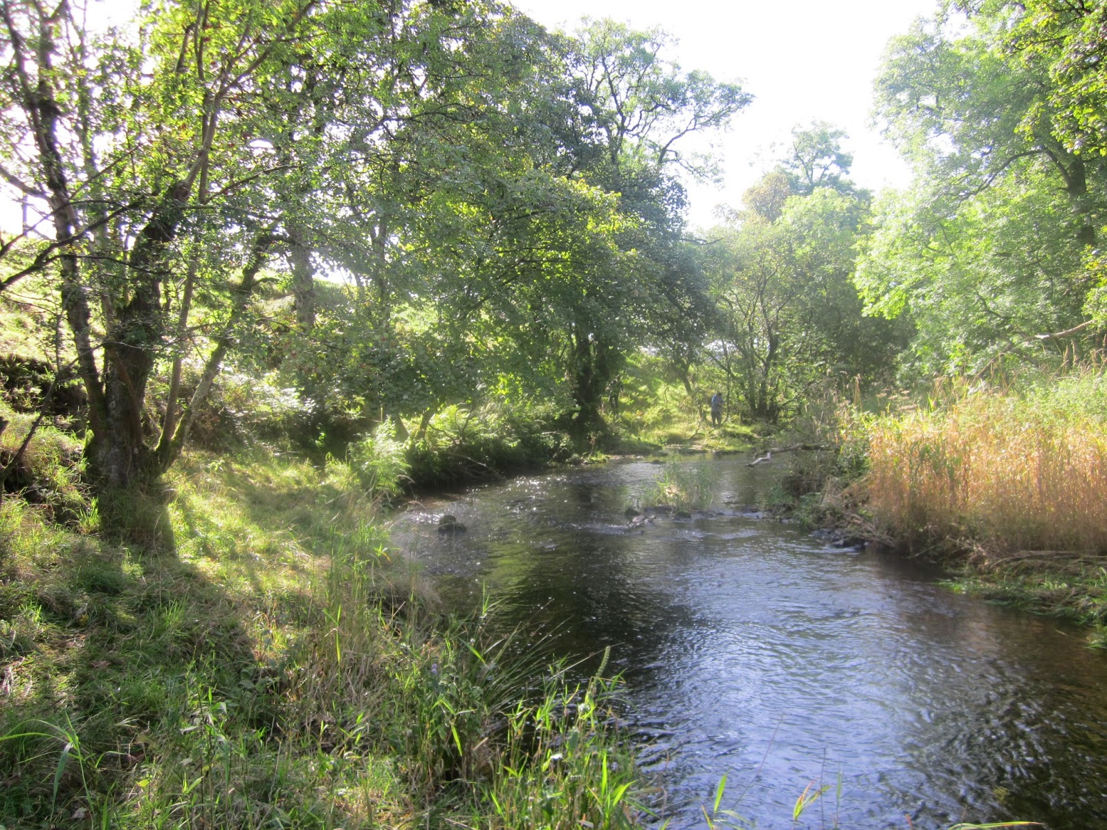 clydebankgeography: National 4,5 & Higher