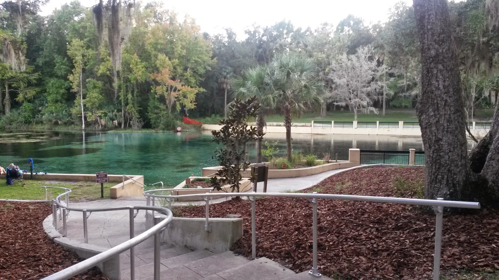 Sandbar Adventures: Salt Springs, Ocala National Forest