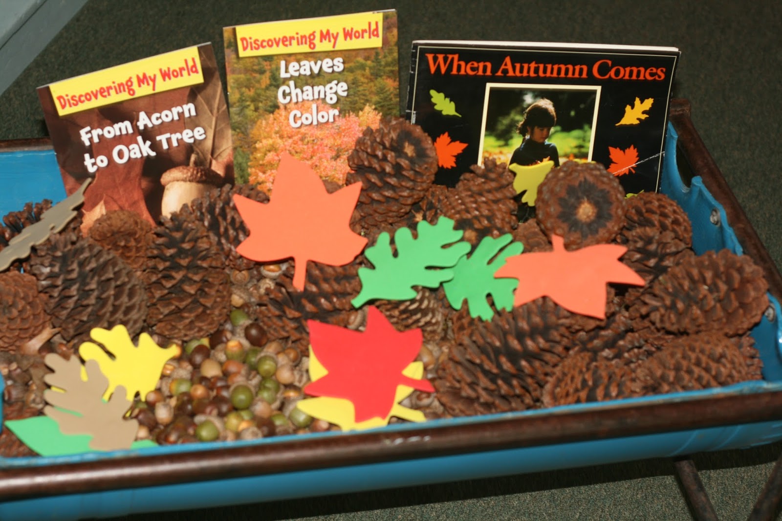 Nancy Nolan's Kindergarten: Fabulous Fall!