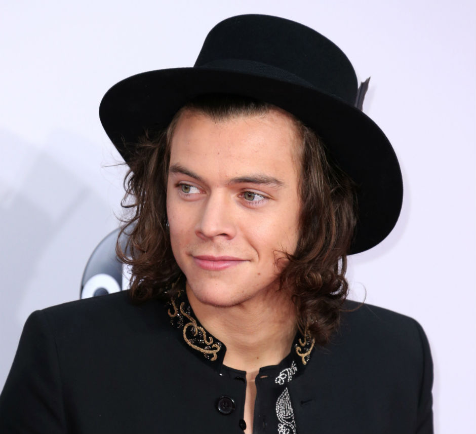 Harry Styles Biography