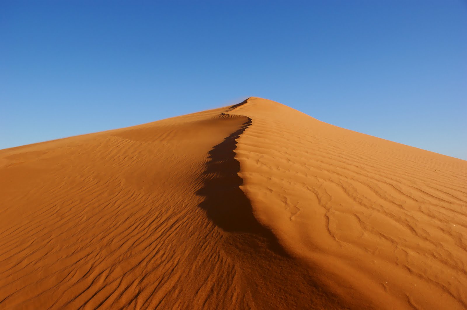 BigRedBusTouringCo.com: Moorook to Perry Sand Dunes